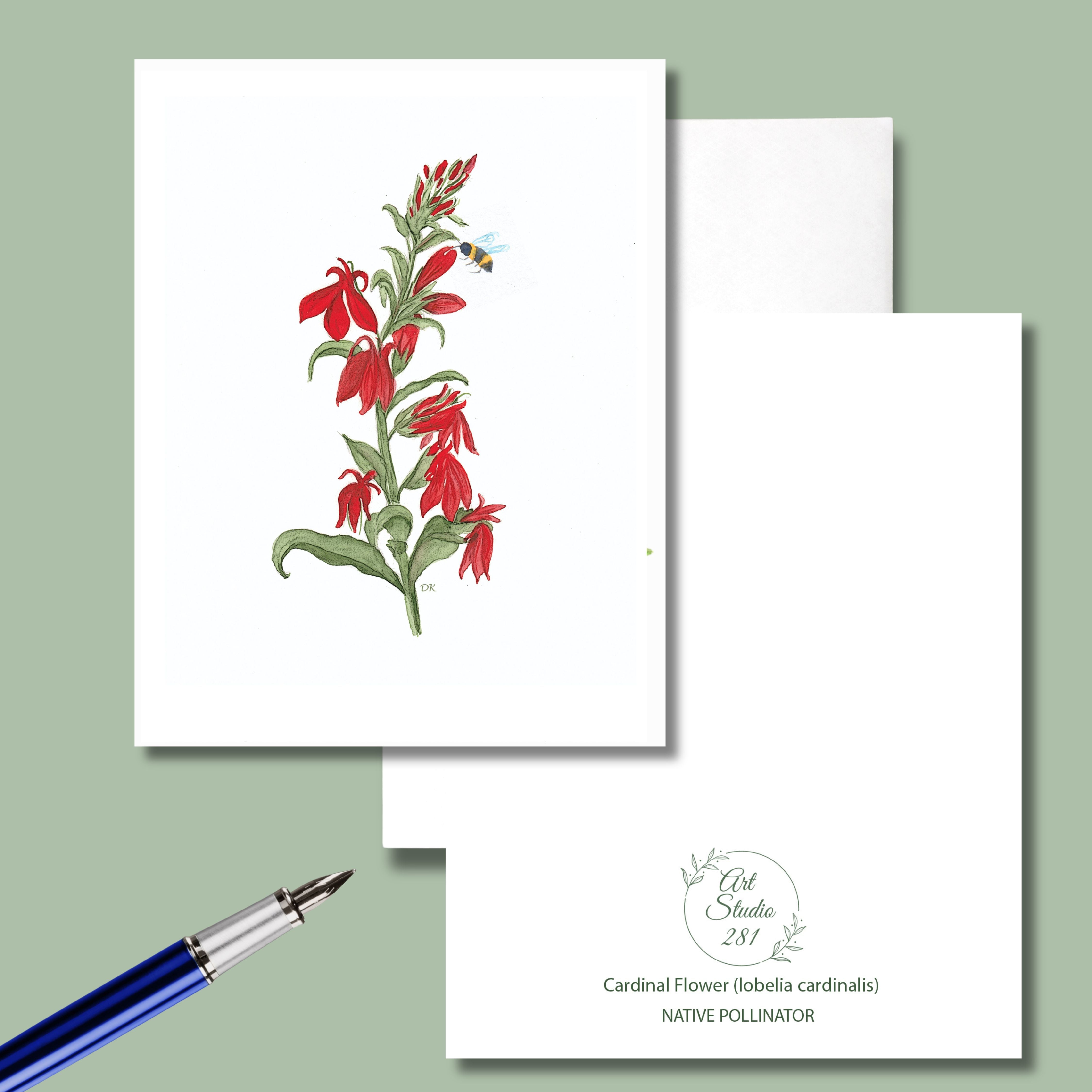 Cardinal Flower, Native Flower Watercolor Note Cards – Rosenwood Studio ...